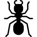 Ant and Triangle Puzzle with Solution| PrepInsta